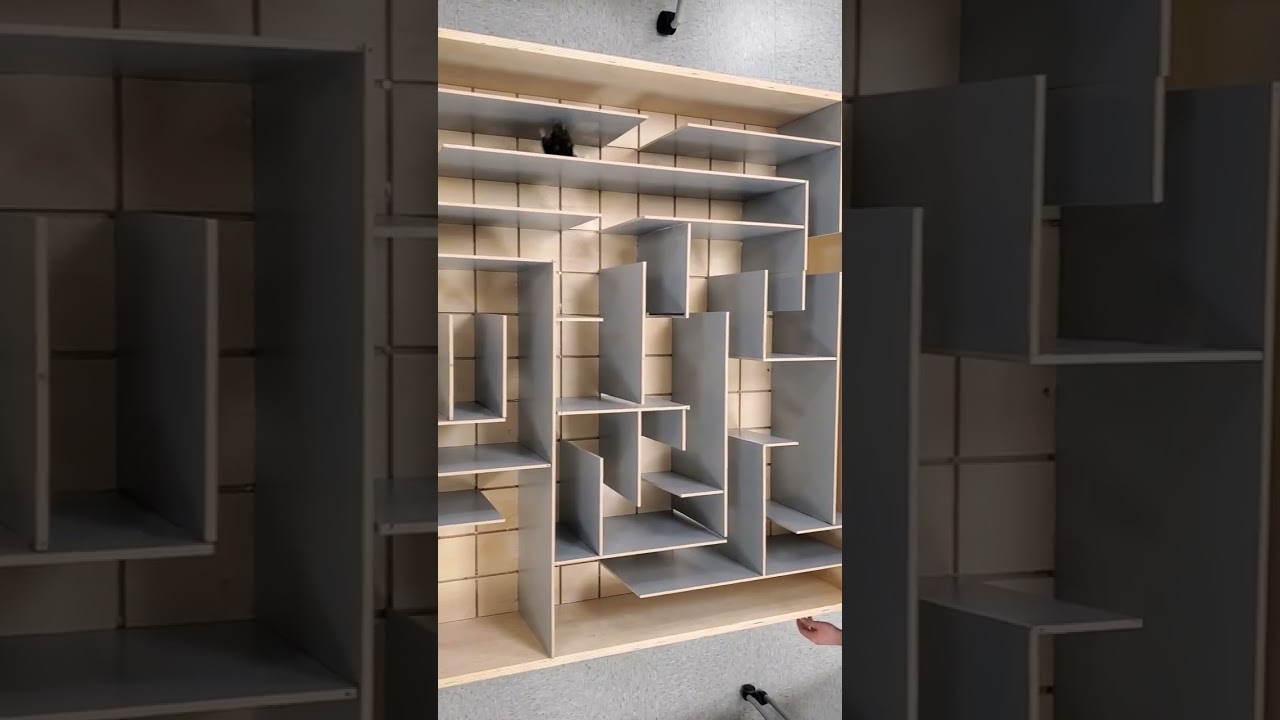 9 second rat maze run!