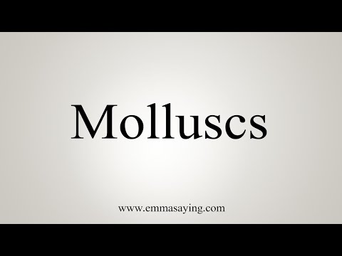 How To Say Molluscs