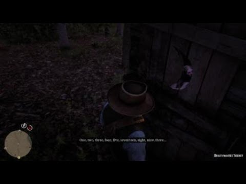 Red Dead Redemption 2 - Braithwaites Secret