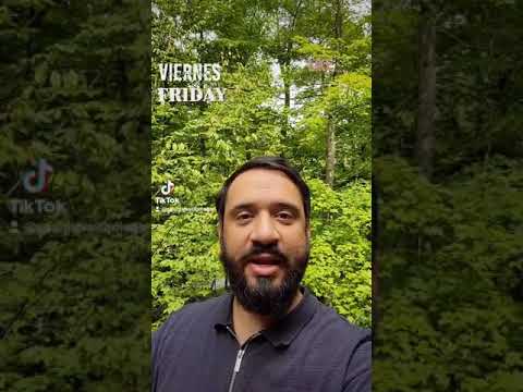 Spanish words for Forest, Trees, wood and fireplace