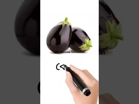 Brinjal#Vegetables#English Learning#word Meaning#vocabulary#GK#quiz#shorts