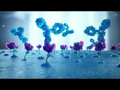 Why Does Protein Folding Matter?