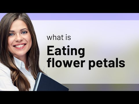 Unveiling the Beauty of Language: "Eating Flower Petals"