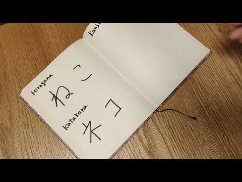 Let's write "Cat" in Japanese!
