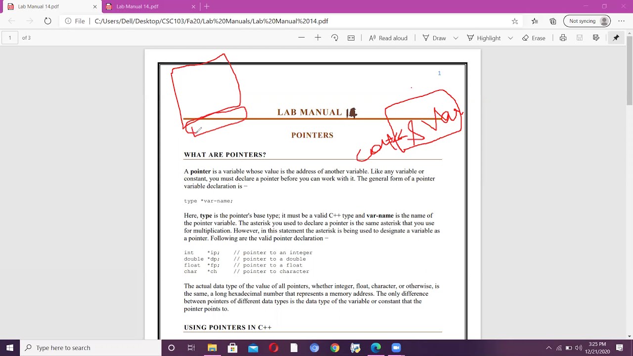 Lab 12: Pointers and Double Pointers in C++