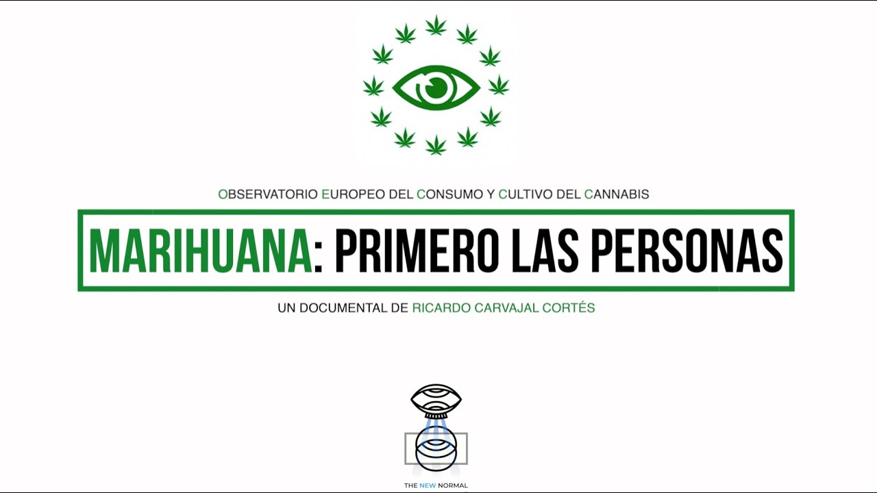 MARIHUANA: PRIMERO LAS PERSONAS