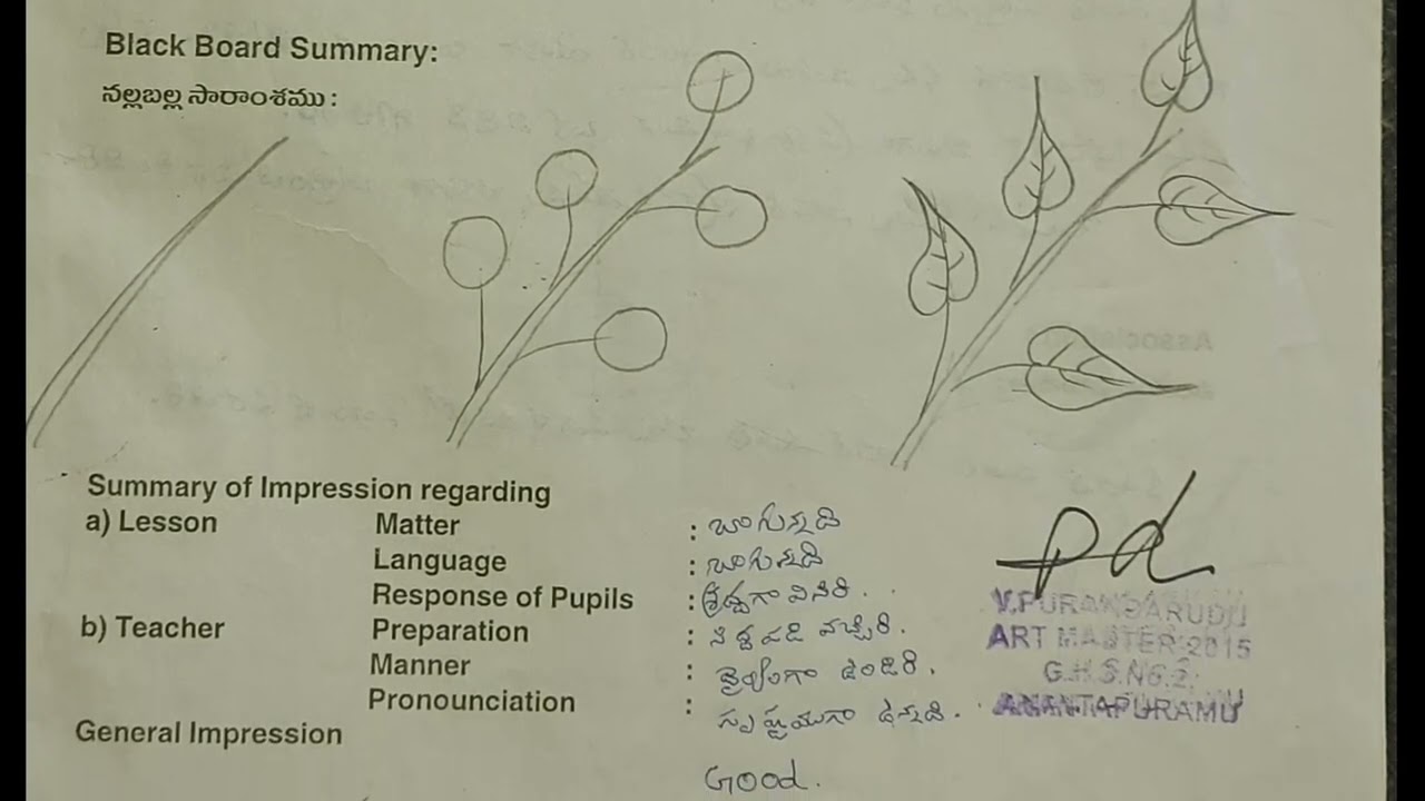 art drawing tcc lesson plan book 2
