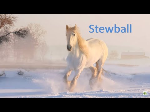 Hugues Aufray - Stewball (Paroles)