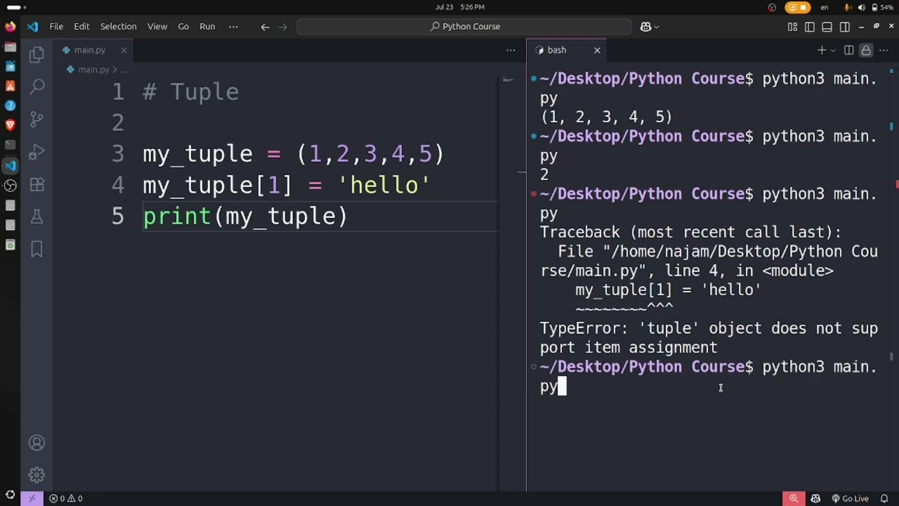 Python Tuples Explained in 5 Minutes | Immutable Sequences in Python