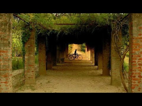👉Aligarh Bona Chor Fort | अलीगढ बोना चोर किला | Aligarh Muslim University