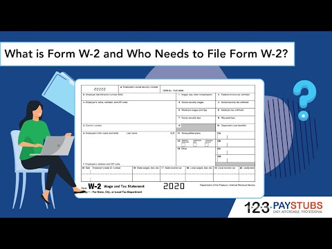 What is Form W-2 and Who Needs to File Form W-2? | 123PayStubs