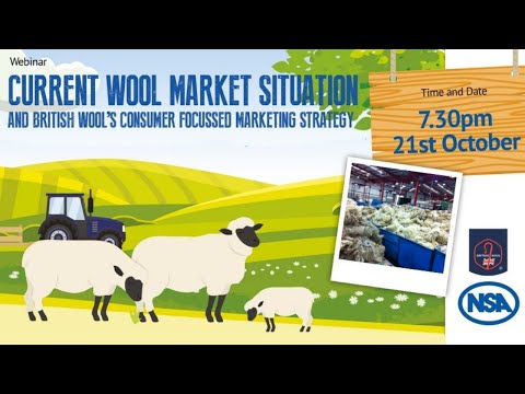 NSA and British Wool: The Current Wool Market Situation