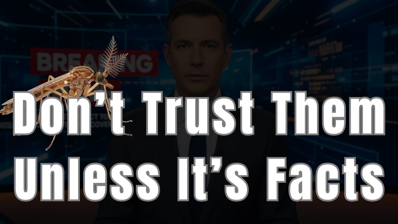 No See Ums | What They’re Getting Wrong