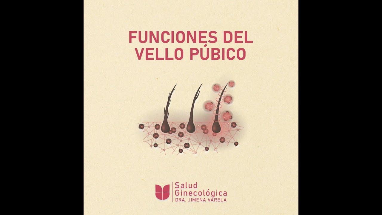 Funciones del Vello Púbico