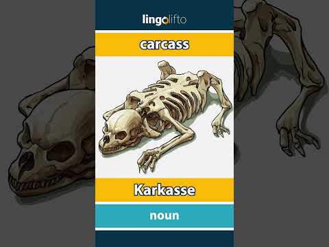 π¬π§π©πͺ carcass - Karkasse : learn English : Lernen wir Englisch : vocabulary builder
