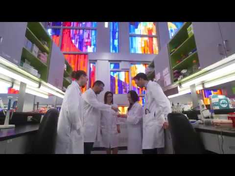 Discovery, to prevent, to cure