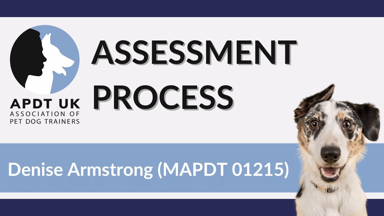 🐶 APDT Assessments Presentation - How to become an APDT Member