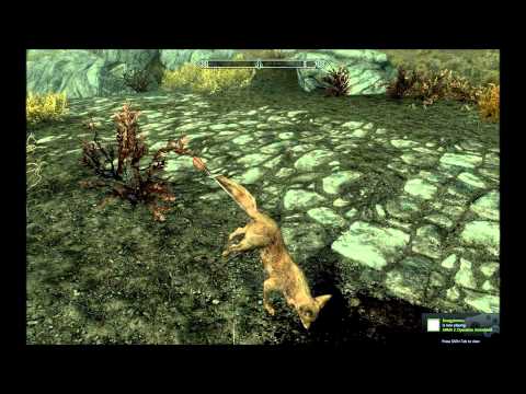 Steam Community :: Video :: Fox Spin
