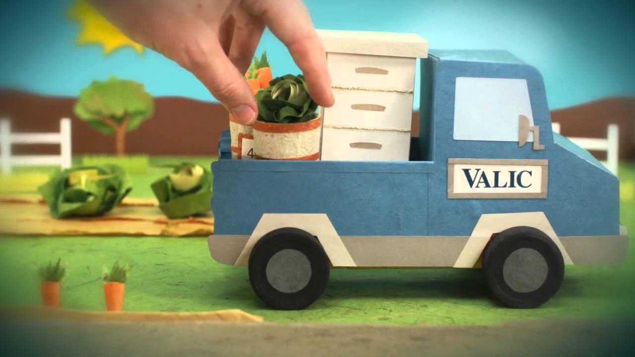 VALIC Life/Work