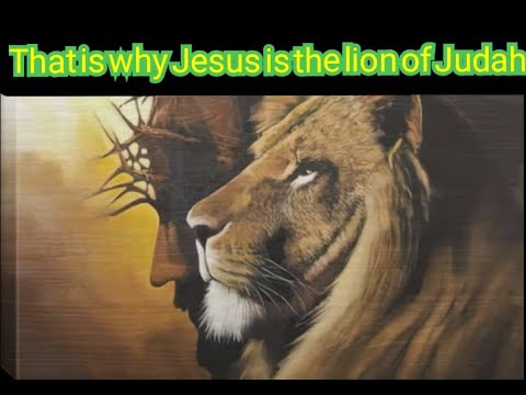 THE LION OF JUDAH: THE TRUE MEANING OF JESUS BEING THE LION OF THE TRIBE OF JUDAH