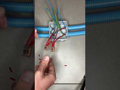 Erreur de débutant en électricité (connexion avec wago dans boîte de dérivation)