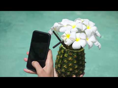 CCCU’s Bonus Checking Protects Your Cell Phone