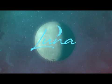 Toilet and Fireplace in a Teardrop Camper!? Luna Does It for a Tad Over ...