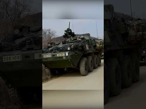 Warrior Shield 2 2 ID Soldiers Train at Twin Bridges