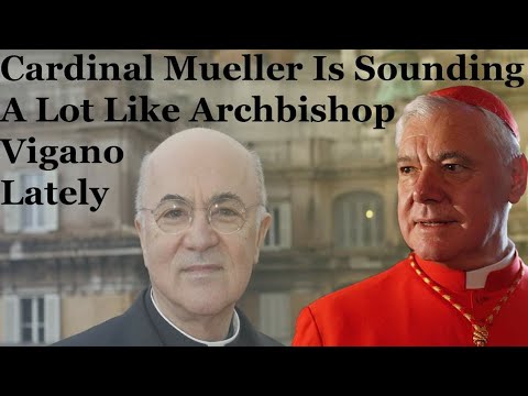 Cardinal Muller Is Starting To Sound A Lot Like Archbishop Vigano ...