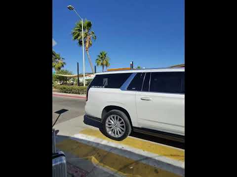 Finding my hotel shuttle at San Jose del Cabo airport #sanjosedelcabo