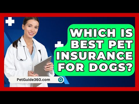 Which Is Best Pet Insurance For Dogs? - PetGuide360.com