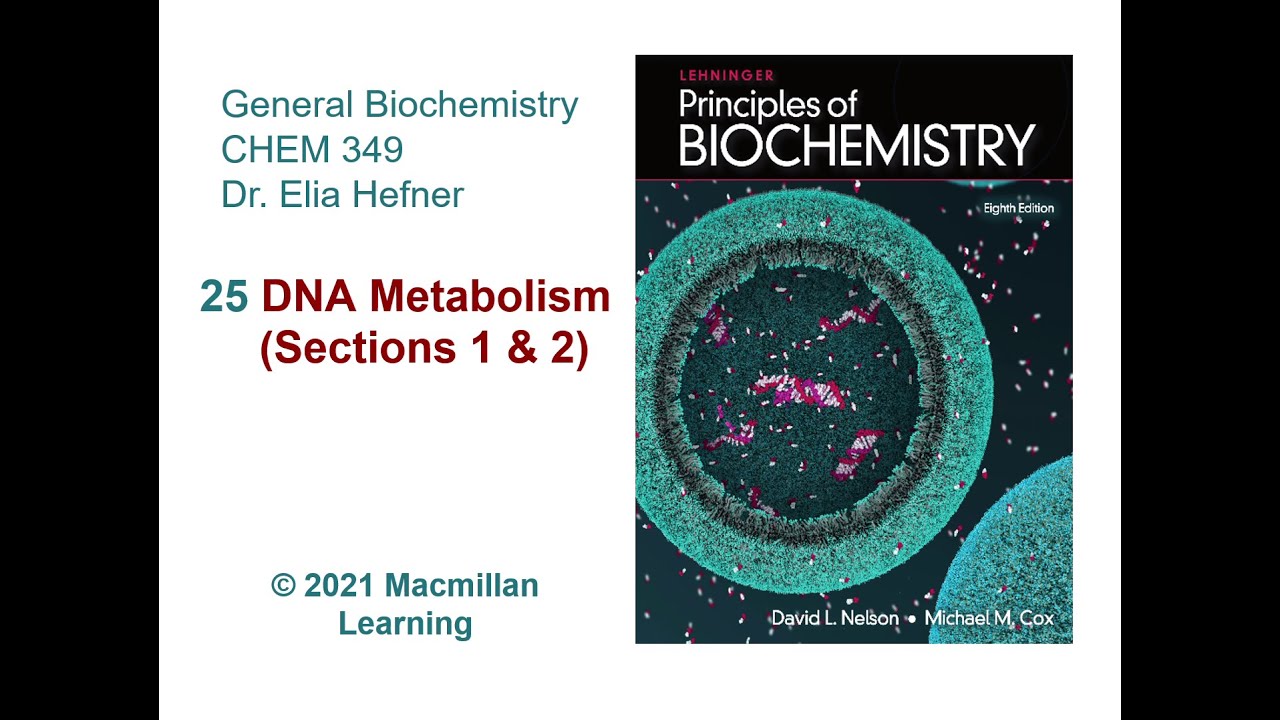 Chapter 25 - DNA Metabolism (Sections 1 & 2)