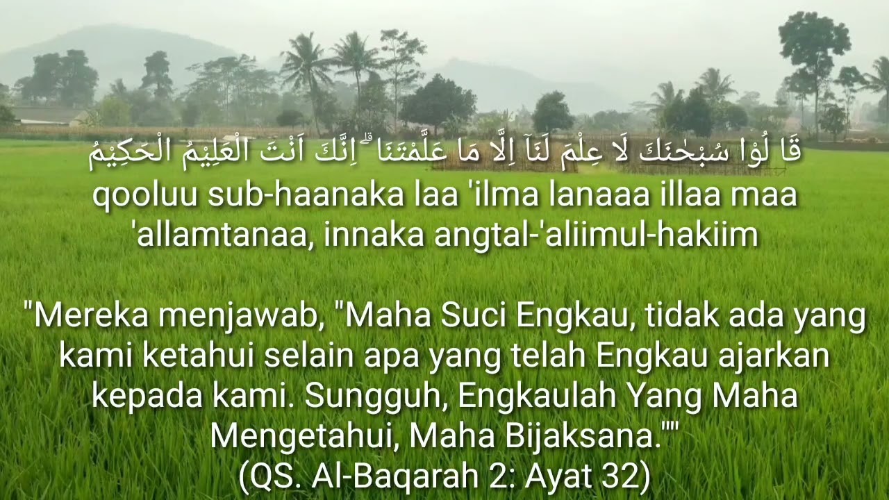 Surah Al Baqarah Sapi Betina Arab Latin Terjemahan Syaikh Mishary ...