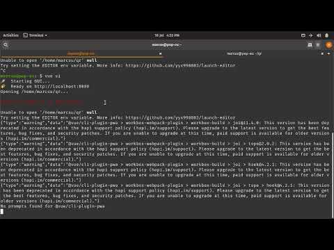 start a vue web app p5