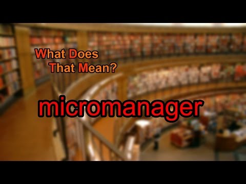 What does micromanager mean?