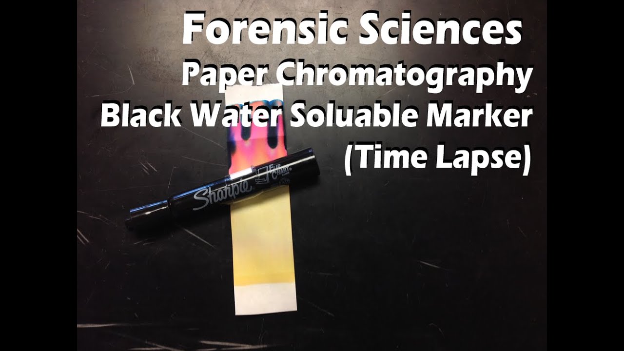 Paper Chromatography (Time Lapse) Sharpie Poster Black Marker