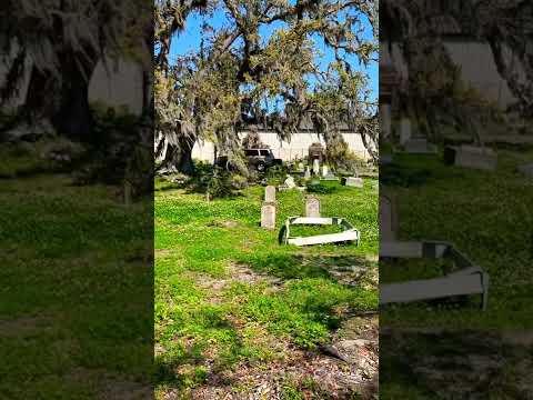 Holt Cemetery In New Orleans, Louisiana