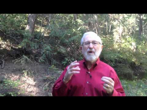 Stop bullying by narcissistic, controlling, toxic parents