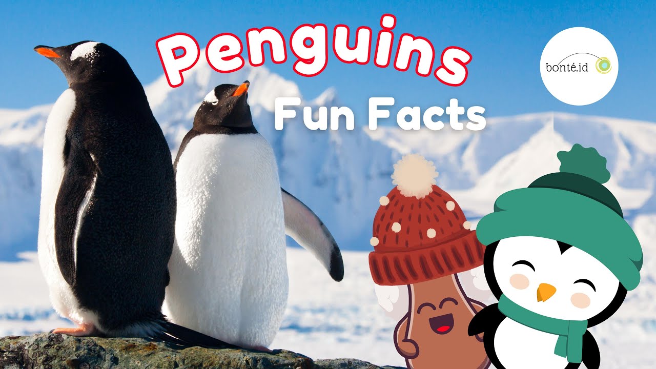 🐧 Penguin Facts for Kids | Fun Learning Educational Video