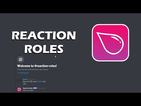 How to Setup Reaction Roles Discord Bot In Under 1 Minute