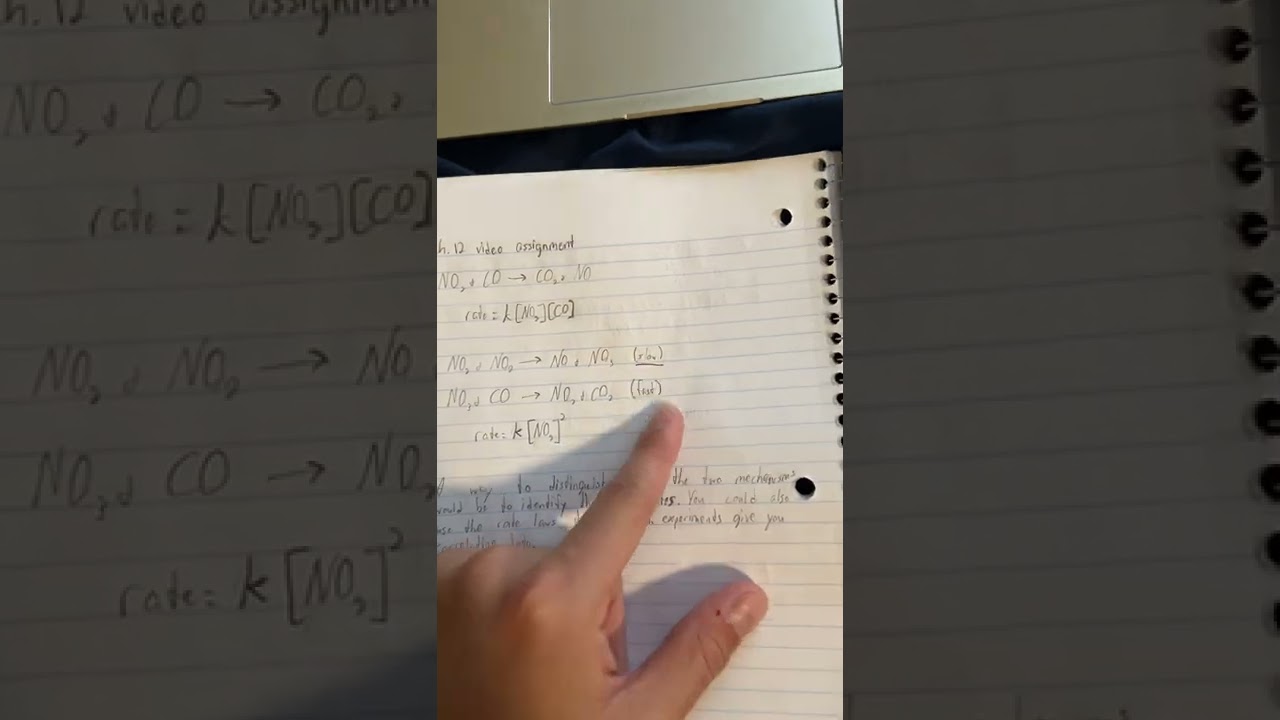 Chapter 12 video assignment