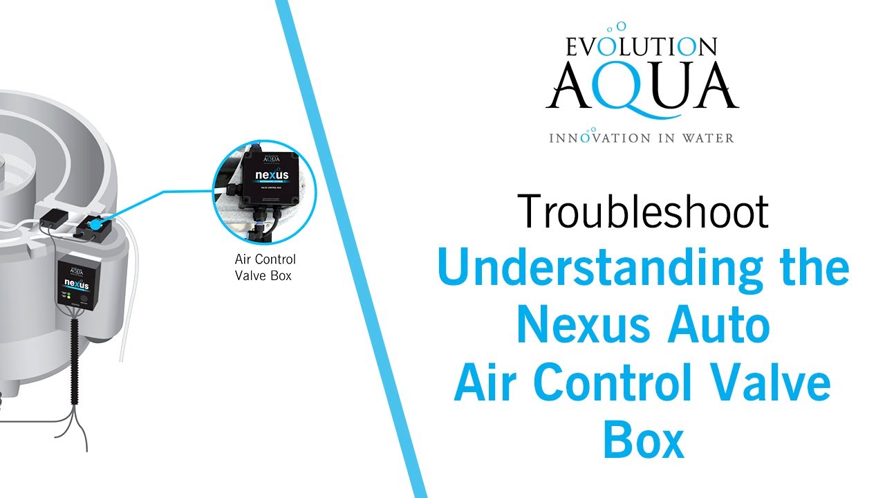 Understanding the Nexus Automatic Air Control Valve - AZPonds & Supplies