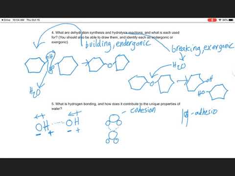 Biochem review key