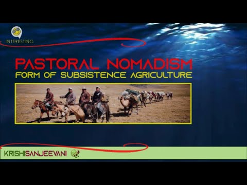 INTERESTING - 108 : PASTORAL NOMADISM