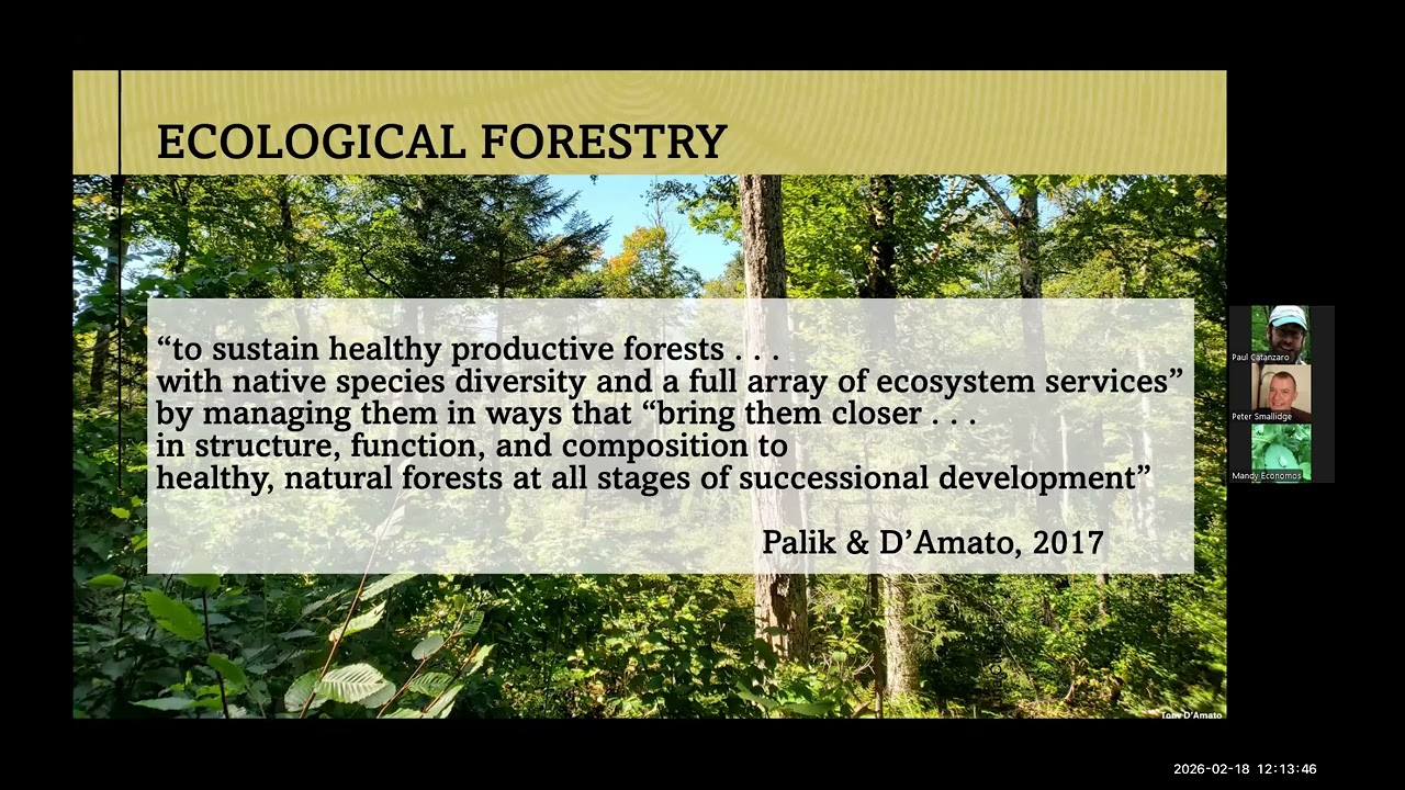 Tending Your Forest Through Ecological Forestry