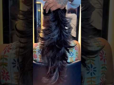 Step cut Vs layer cut #shorts #viral #hairstyle #haircut