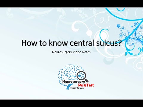 How to Identify Central sulcus Radiologically.