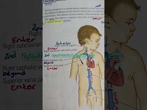 Vascular Families Appendix L explained easy medical coding certification exam