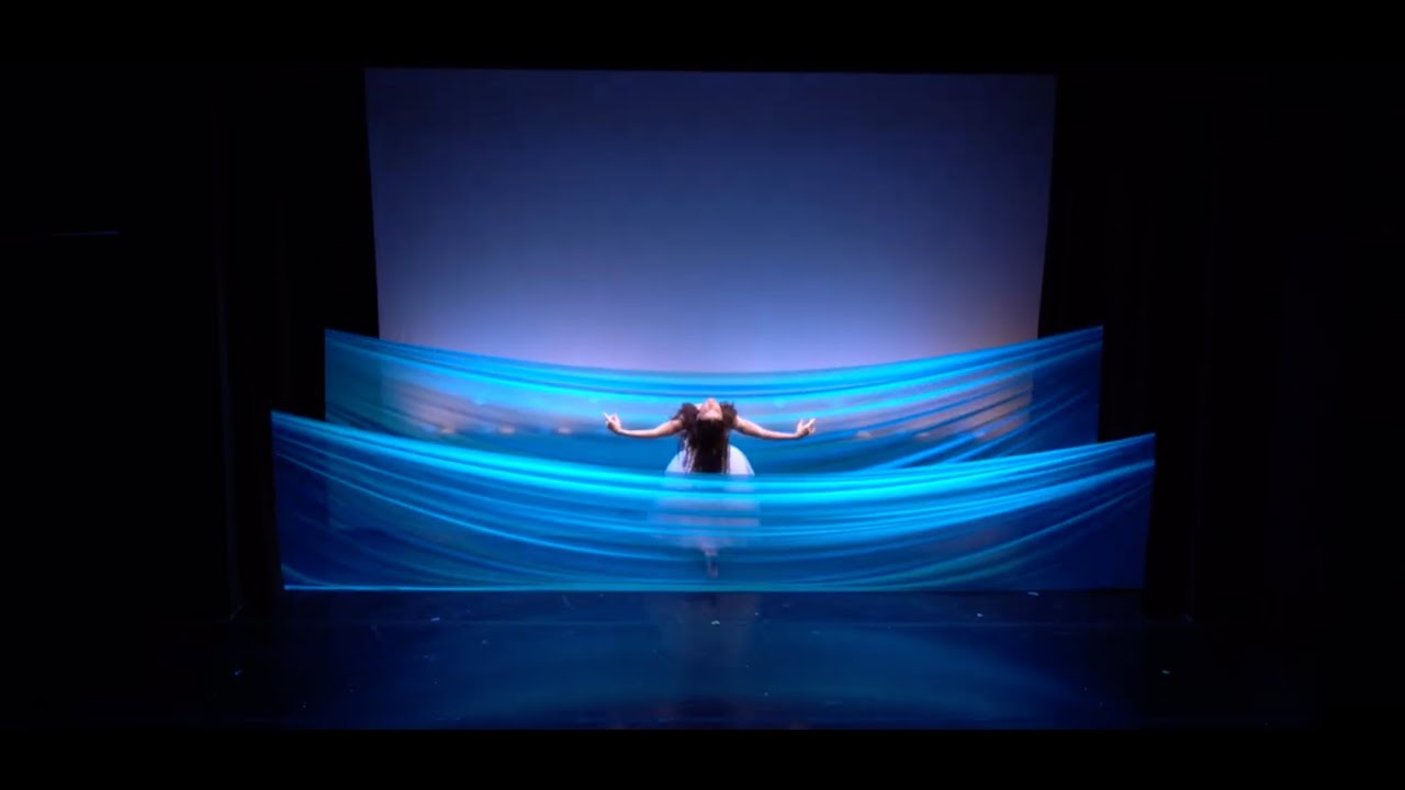 Ballet Bloom Project | Highlights