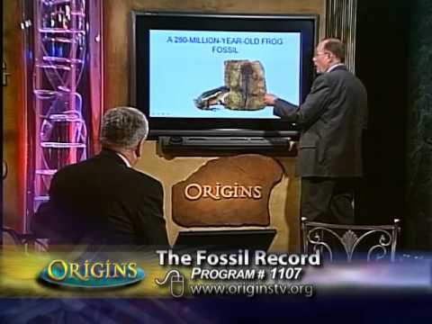 Scientific Evidence for Creation CSE BIBLE FORUM Origins 1107 The Fossil Record